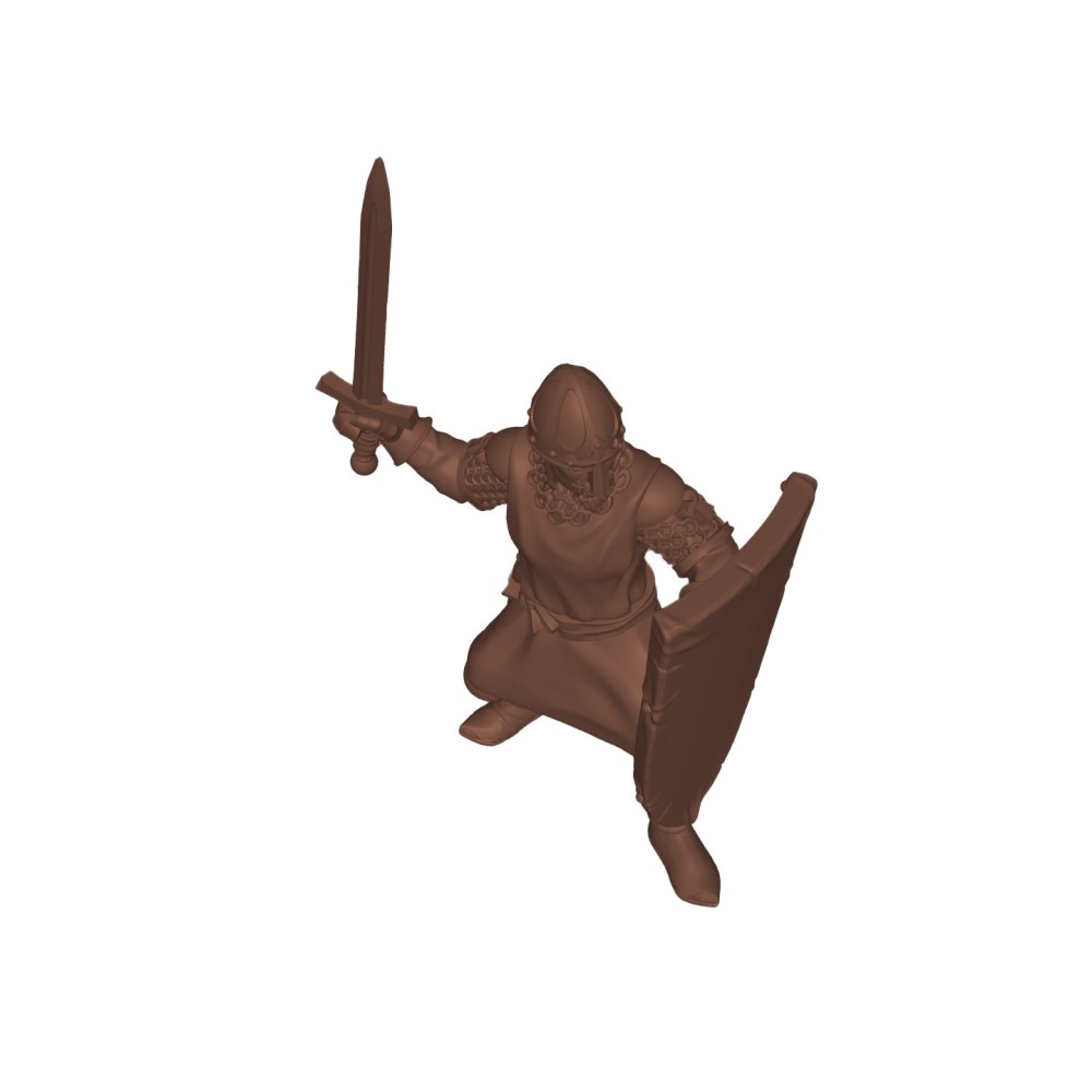 Soldier with sword and medieval shield of NG Castles